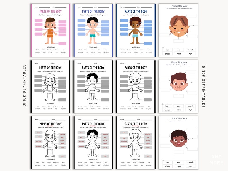 Parts of the Body and Face Worksheet, Kids Worksheets, Printable ...