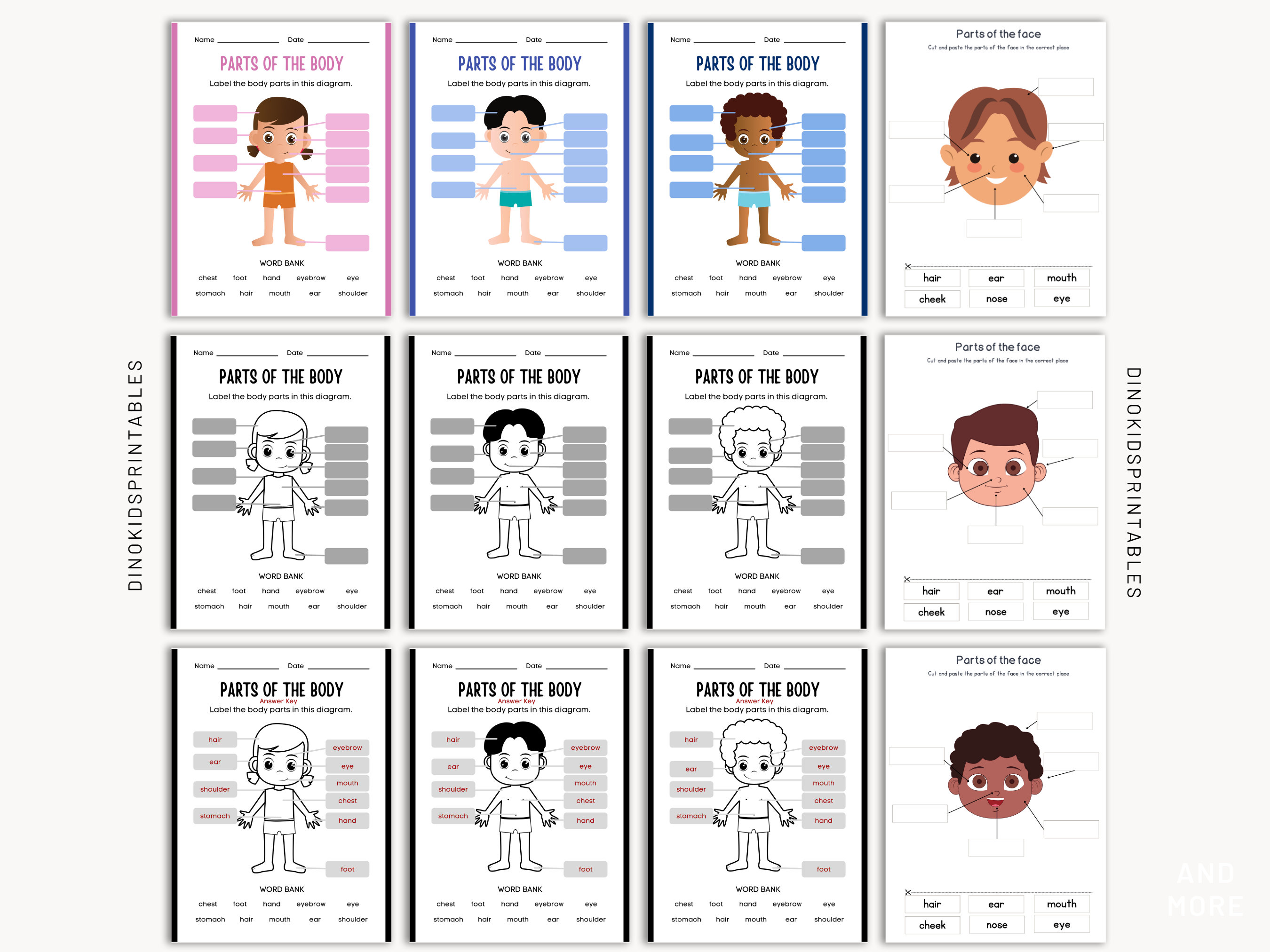Parts of the Body and Face Worksheet, Kids Worksheets, Printable ...