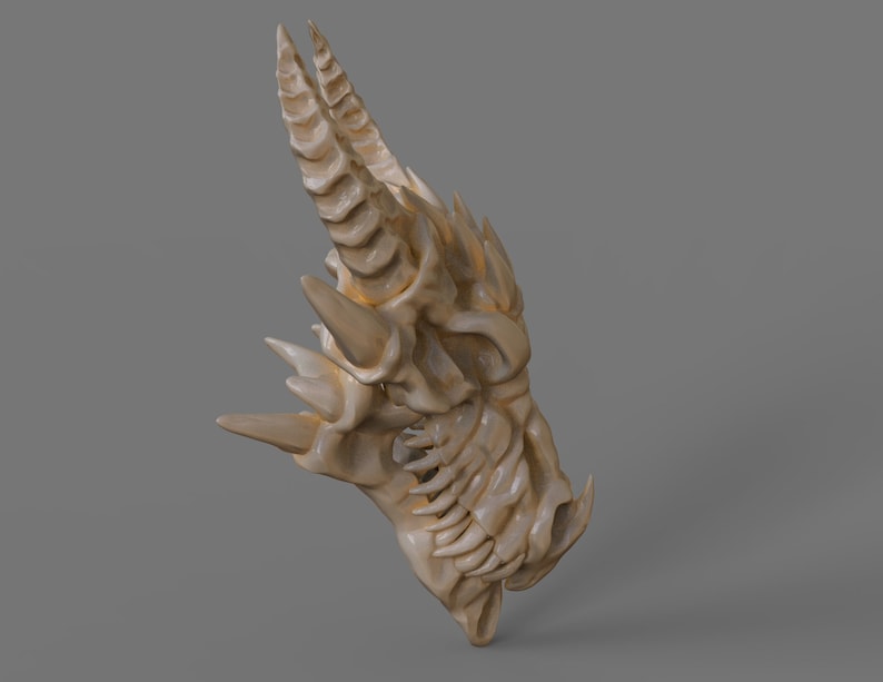 Dragon Skull 3D Print Model - Etsy