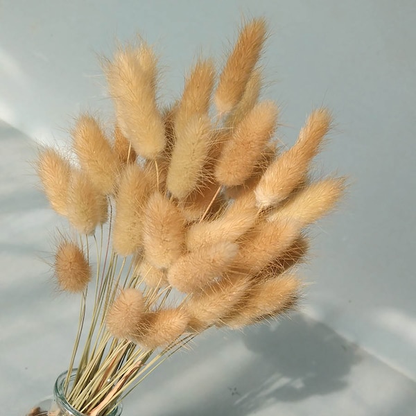 Bunny Tails - Etsy