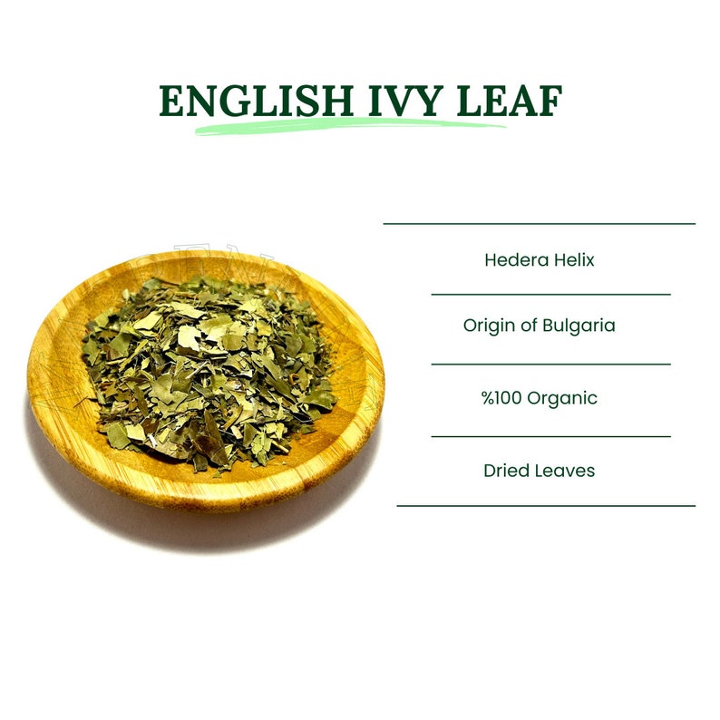 English Ivy Leaf / Hedera Helix / Organic Dried English Ivy Leaves Cut ...