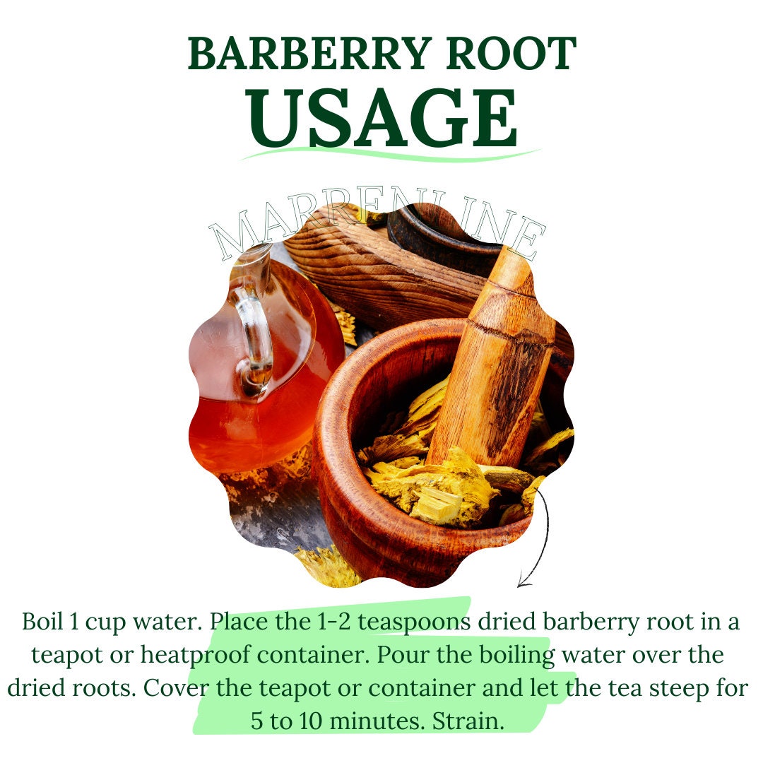 Barberry Root / Berberis Vulgaris / Organic Dried Common Barberry Root ...