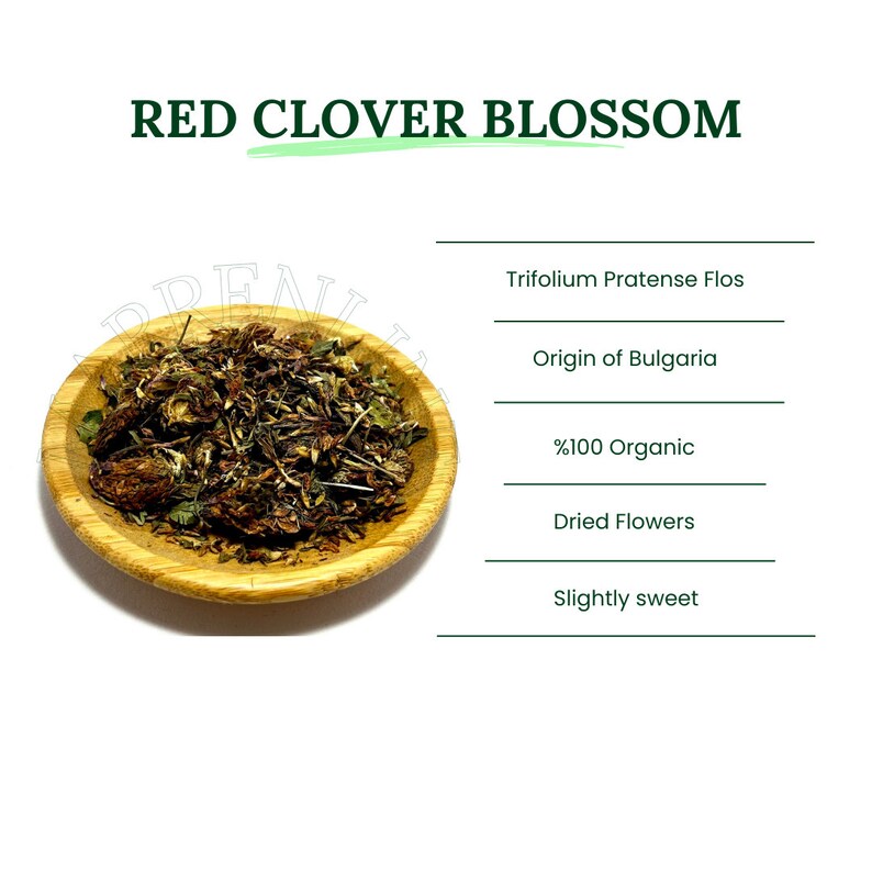 Red Clover Flower / Trifolium Pratense Flos / Herbal Tea / Wildcrafted ...