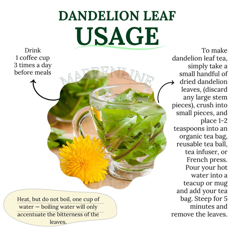 Dandelion Leaf / Taraxacum Officinale Folium / Organic Dried Herb / Dandelion Leaf Tea / Herbal ...
