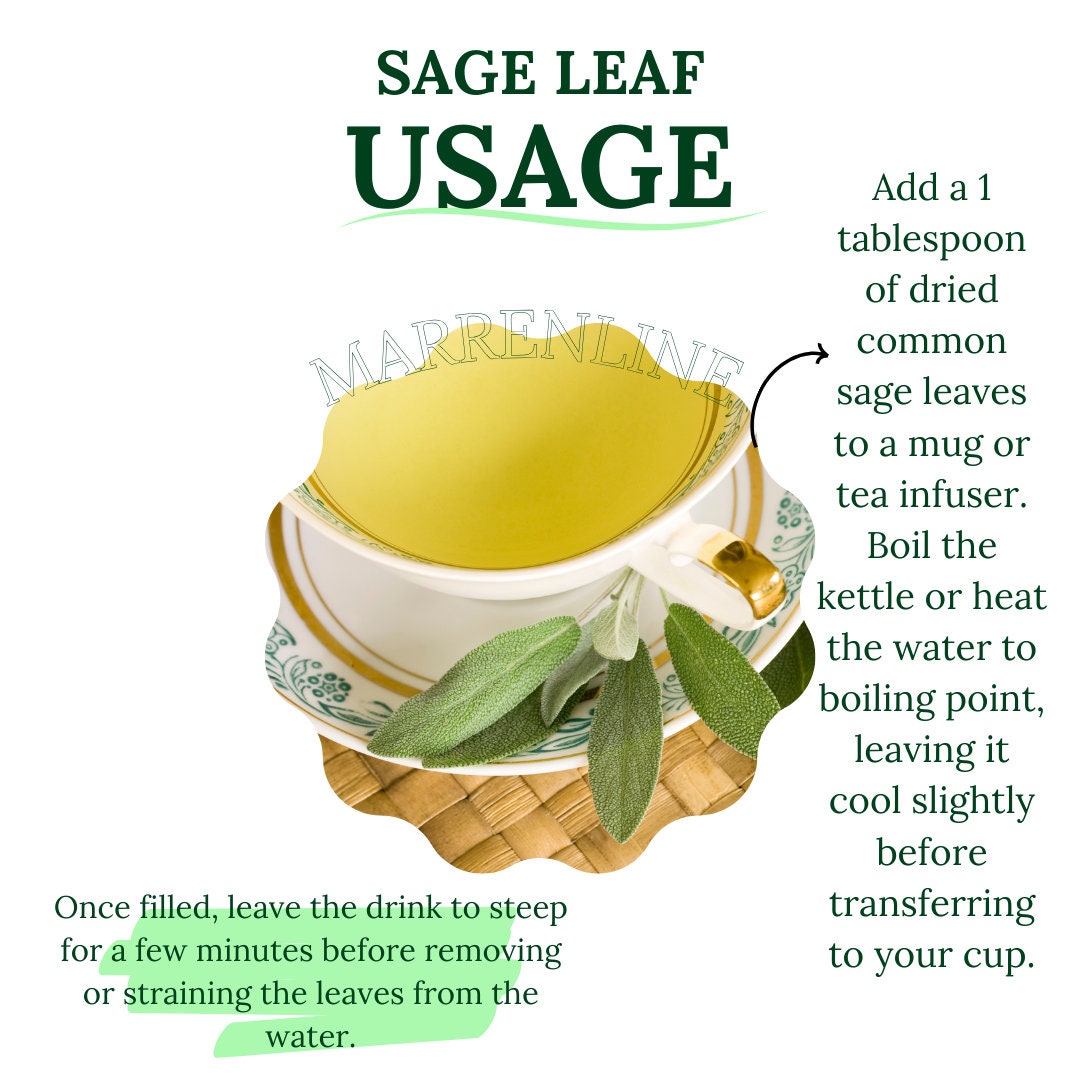 Organic Sage Leaf BULK 1 Lb 2 Lbs / Salvia Officinalis / Bulk Garden ...