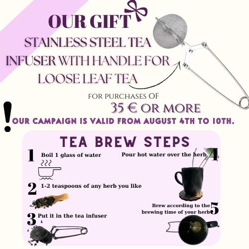 Birch Leaf / Betula Pendula / Common Birch Leaf / Dried Birch Leaves ...