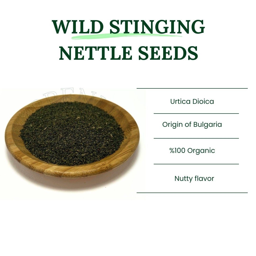 Wild Stinging Nettle Seeds / Urtica Dioica / Wildcrafted / Nettle Seeds ...