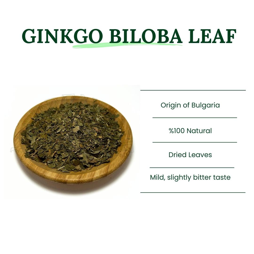 Ginkgo Biloba Leaf / Organic Dried Ginkgo Biloba Leaves / Ginkgo Tea ...