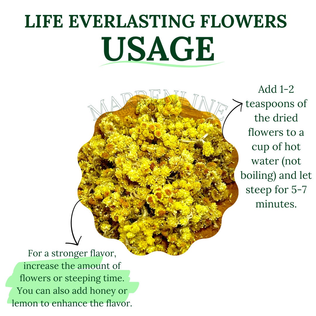 Life Everlasting Flowers / Helichrysum Stoechas / Bulgarian Life ...
