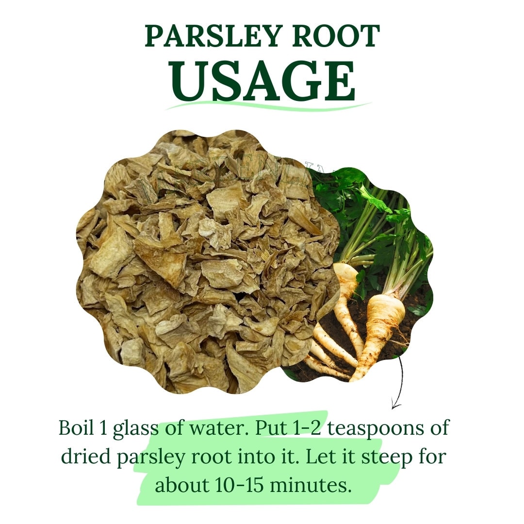 Parsley Root / Petroselinum Crispum / Organic Dried Herb / Parsley Root ...