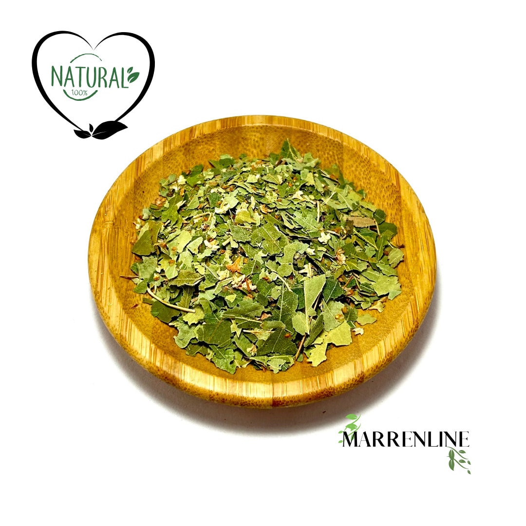 Birch Leaf / Betula Pendula / Common Birch Leaf / Dried Birch Leaves ...