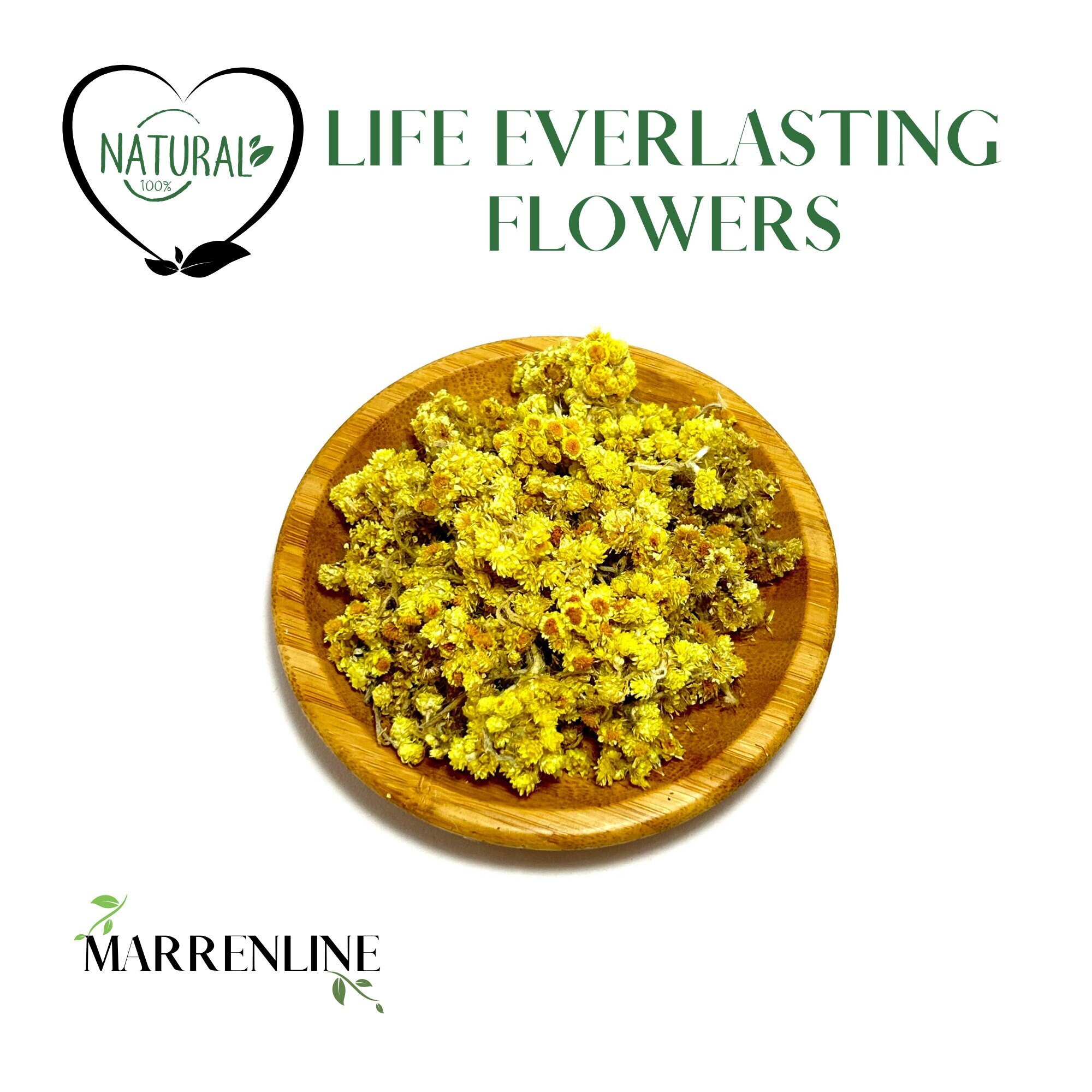 Life Everlasting Flowers / Helichrysum Stoechas / Bulgarian Life ...