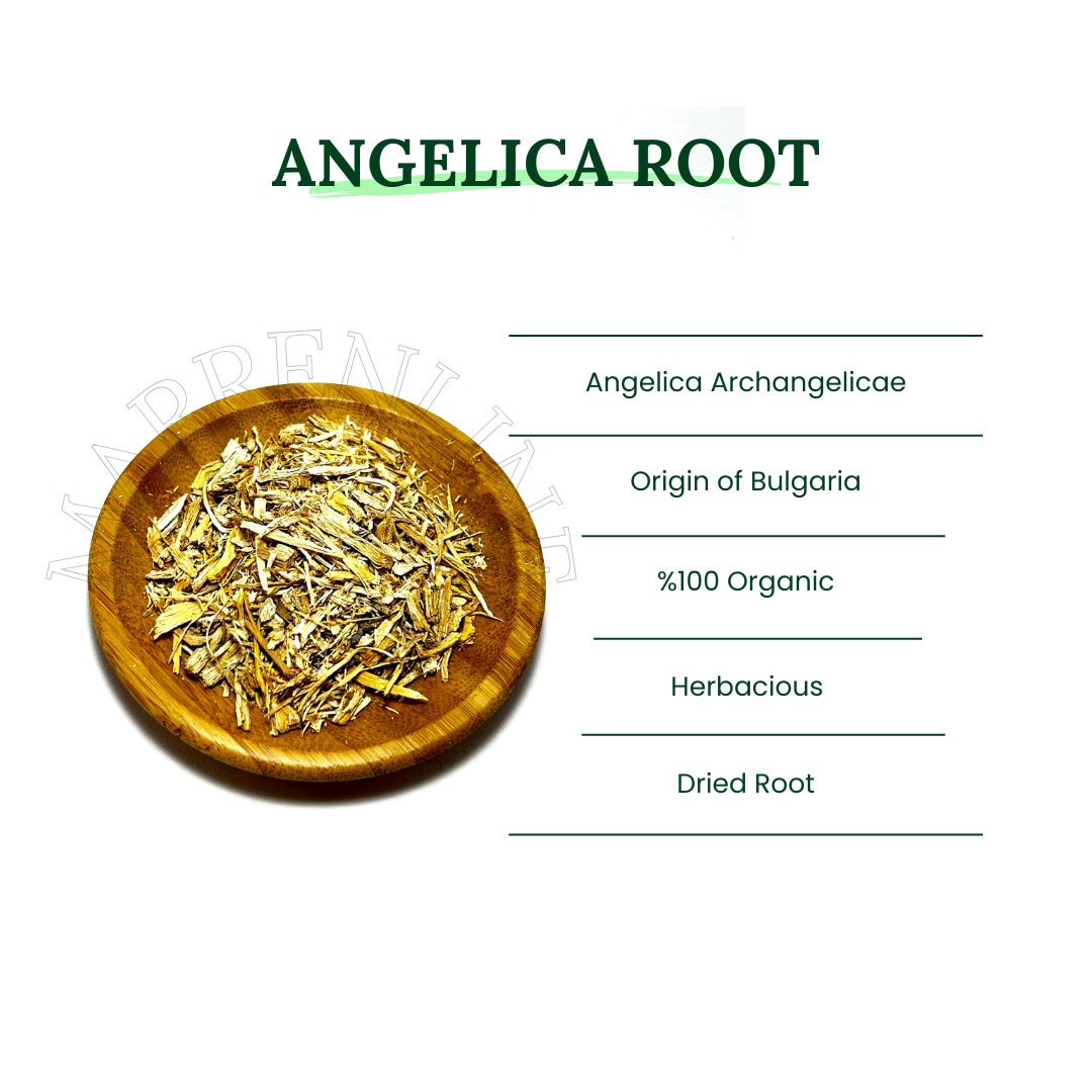 Angelica Root / Angelica Radix / Angelica Archangelica / Organic Dried ...