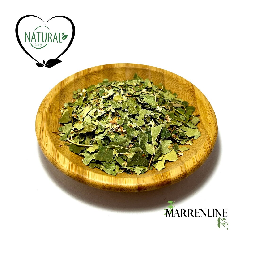 Birch Leaf / Betula Pendula / Common Birch Leaf / Dried Birch Leaves ...