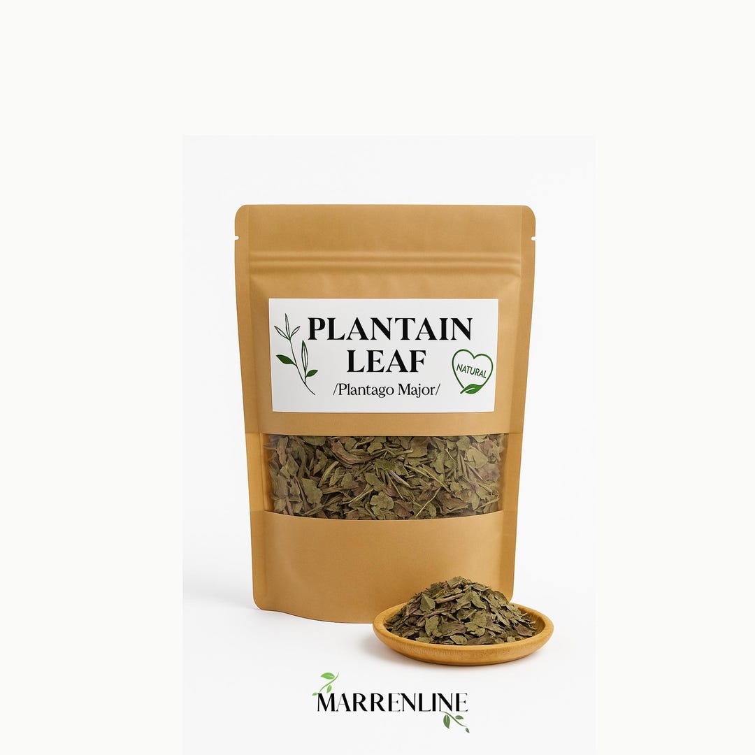 Plantain Leaf BULK 1 Lb - 2 Lbs / Plantago Major / Organic Dried Herb ...