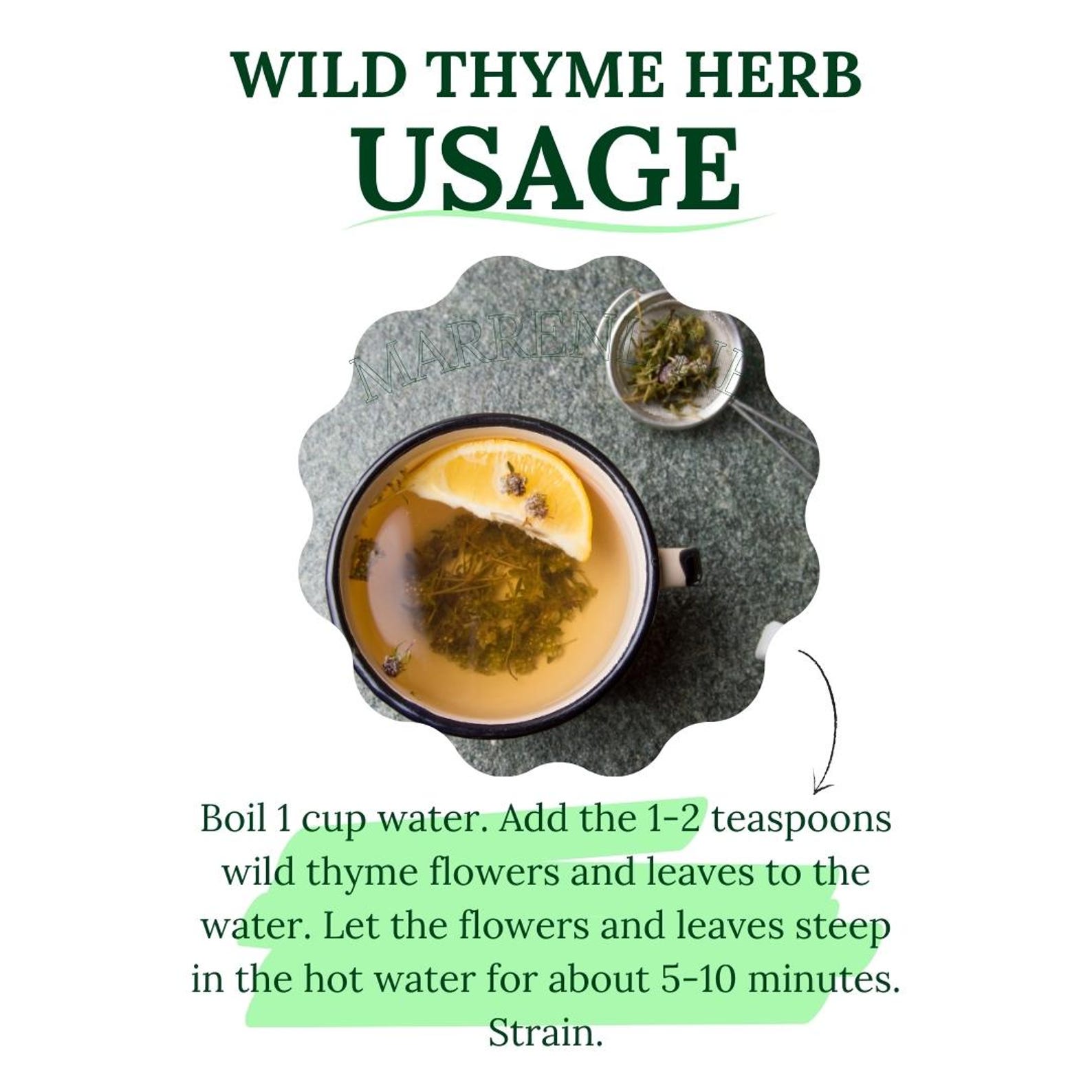 Wild Thyme Herb / Thymus Serpyllum / Thyme Tea / Wildcrafted Thyme ...