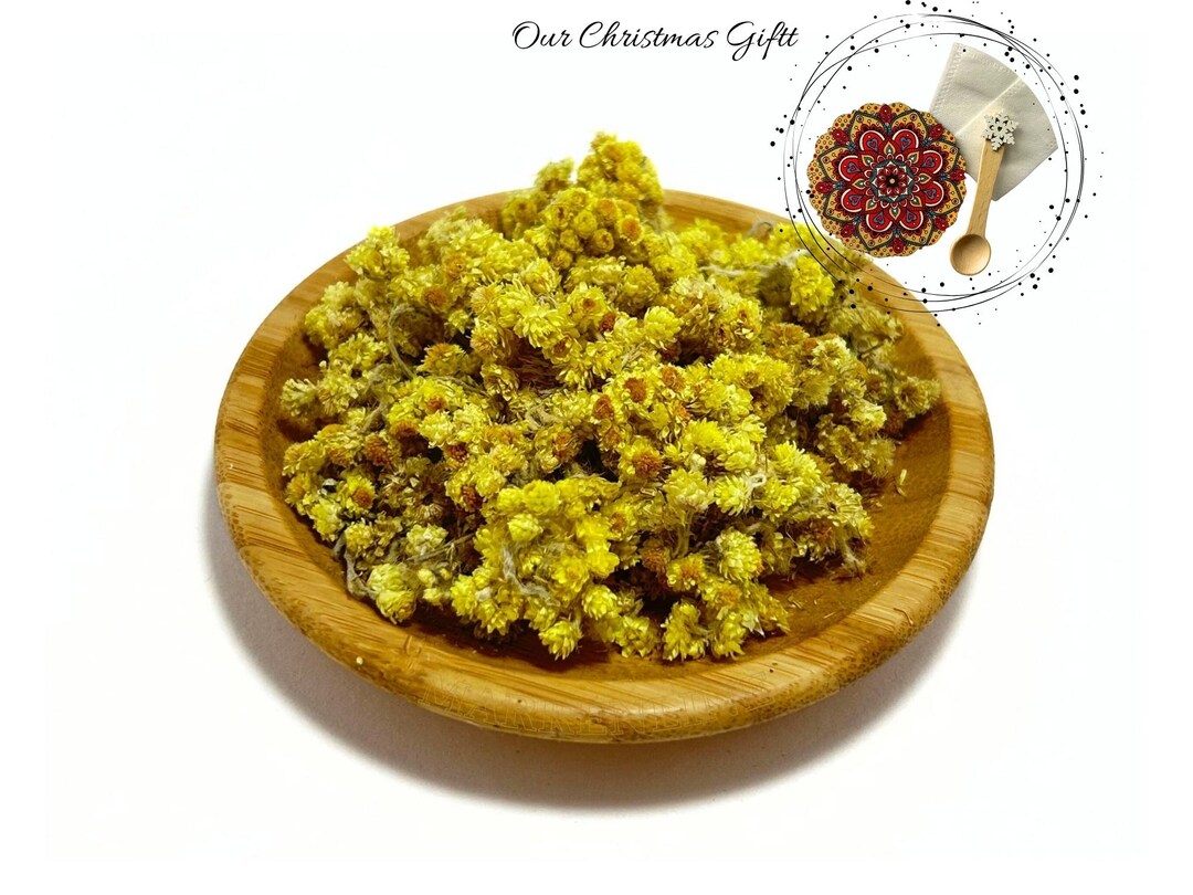 Life Everlasting Flowers / Helichrysum Stoechas / Bulgarian Life ...