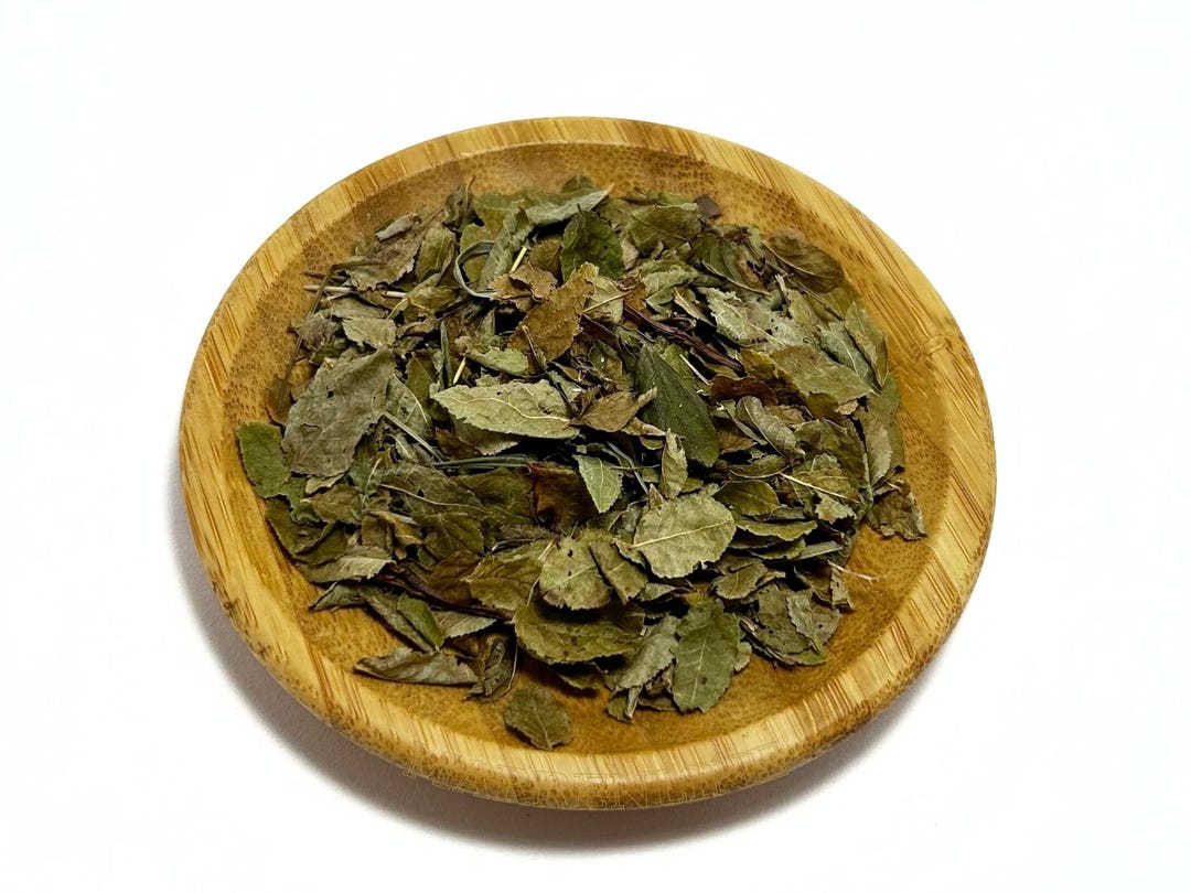 Bilberry Leaf BULK 1 Lbs - 2 Lbs / Vaccinium Myrtillus / Organic ...