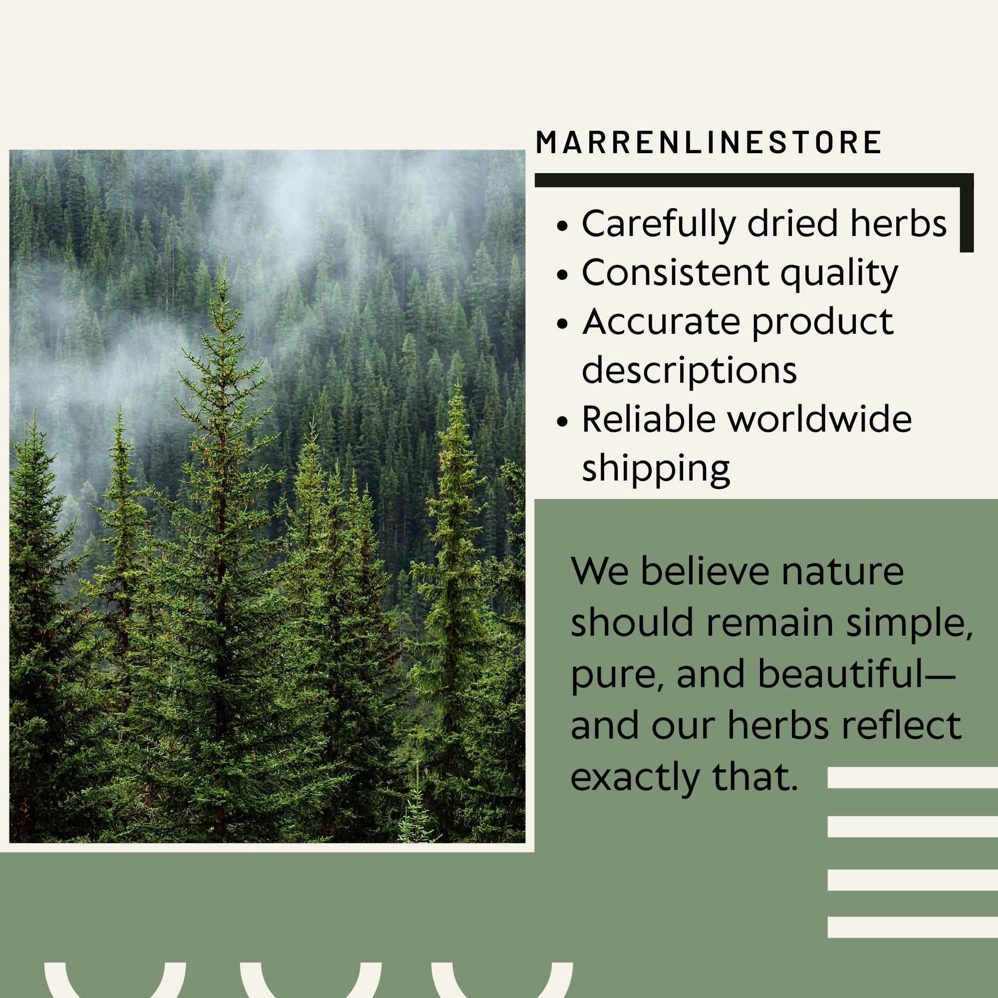 Parsley Root / Petroselinum Crispum / Organic Dried Herb / Parsley Root ...