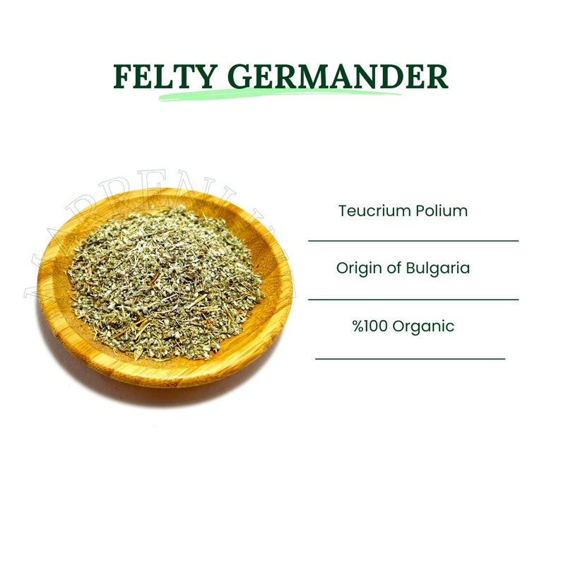 Felty Germander BULK 1 Lb - 2 Lbs / Germander Herb / Teucrium Polium ...