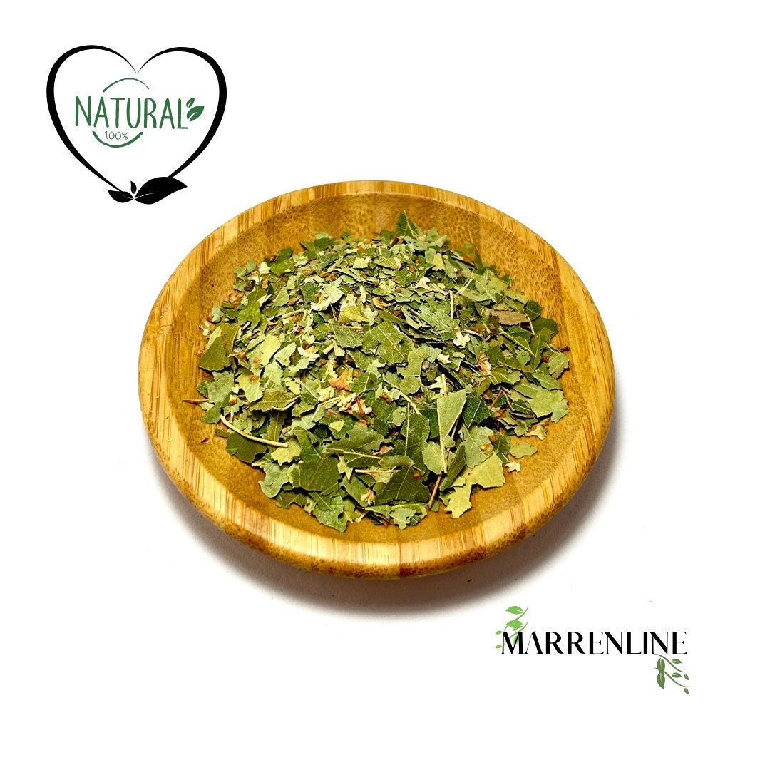 Birch Leaf / Betula Pendula / Common Birch Leaf / Dried Birch Leaves ...