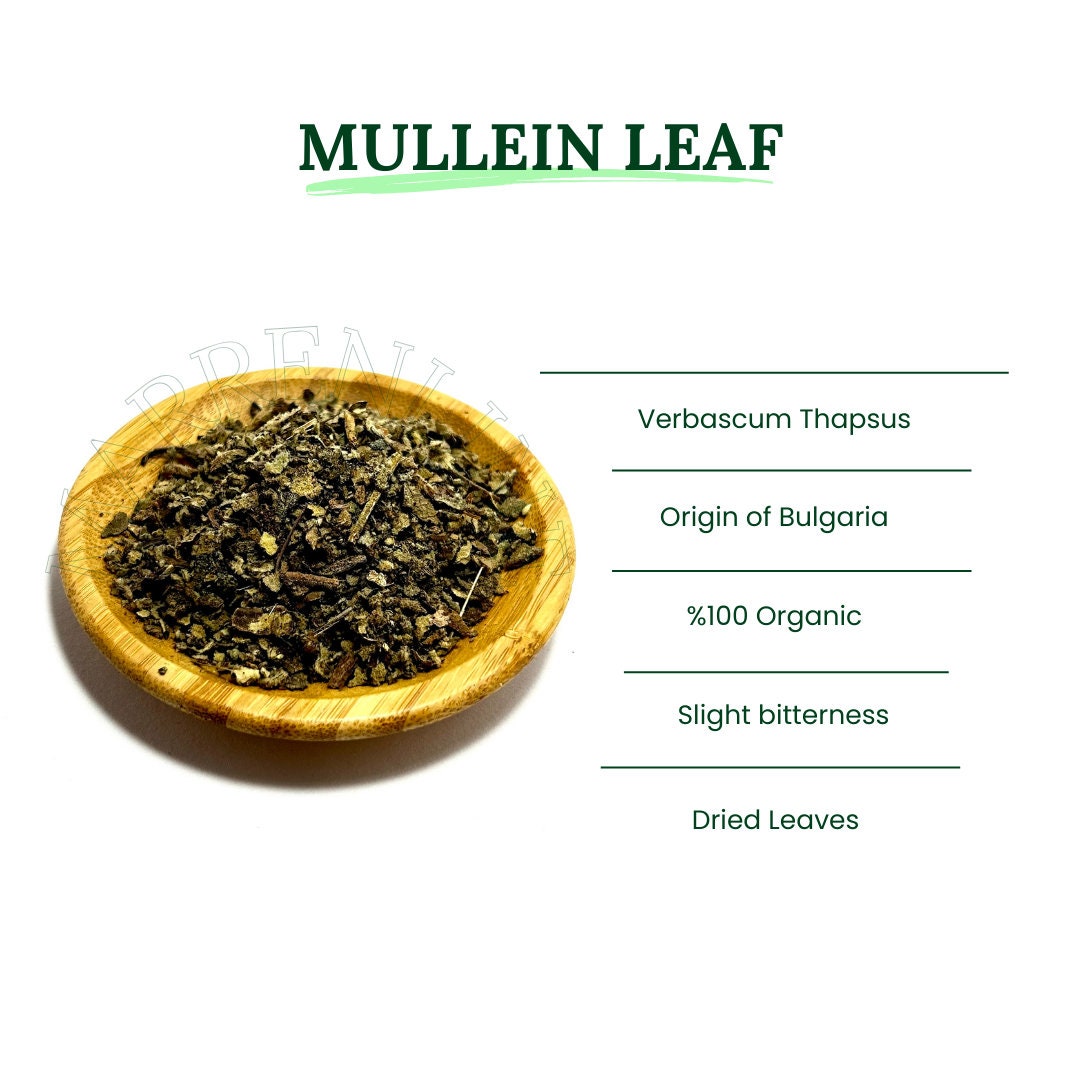 Mullein Leaf / Verbascum Thapsus / Mullein Leaf Tea / Organic Dried ...