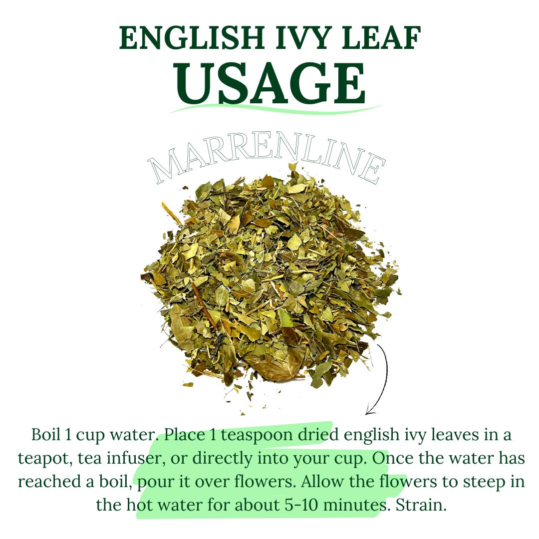 English Ivy Leaf / Hedera Helix / Organic Dried English Ivy Leaves Cut ...