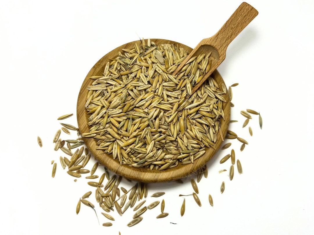 Oat Seeds / Avena Sativa / Organic Oat Groats / Oatstraw Seeds / Herbal ...