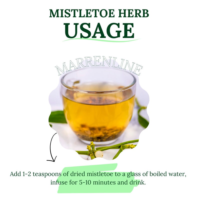 Mistletoe Herb / Viscum Album / Organic Dried Bulk Herbs / Mistletoe ...