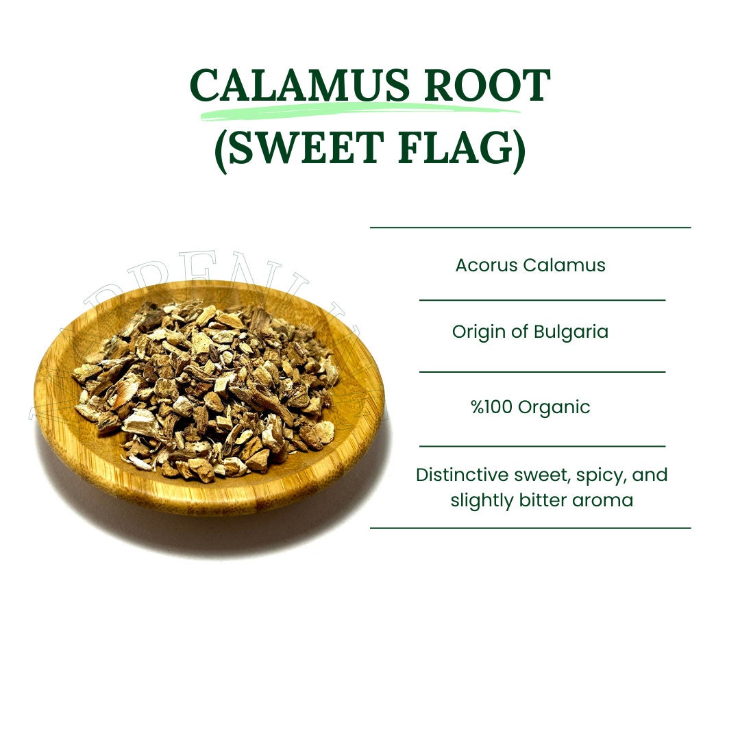 Calamus Root / Acorus Calamus / Sweet Flag Root / Organic Dried Bulk ...