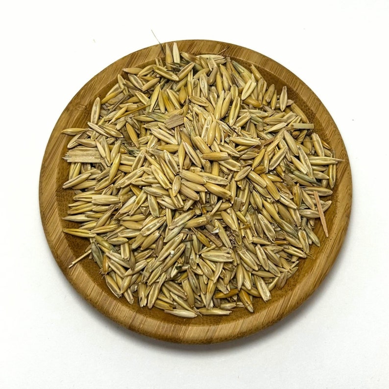 Oat Seeds / Avena Sativa / Organic Oat Groats / Oatstraw Seeds / Herbal ...