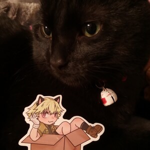 5 Piece Hellsing Schrödinger's Cat Vinyl Sticker - Etsy