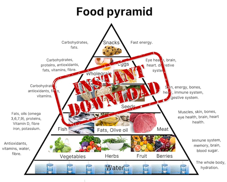 Food Pyramid | Healthy Eating Guide | Educational Kitchen Wall Art ...