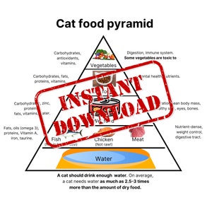Cat Food Pyramid | Pet Feeding Guidelines | Healthy Eating ...