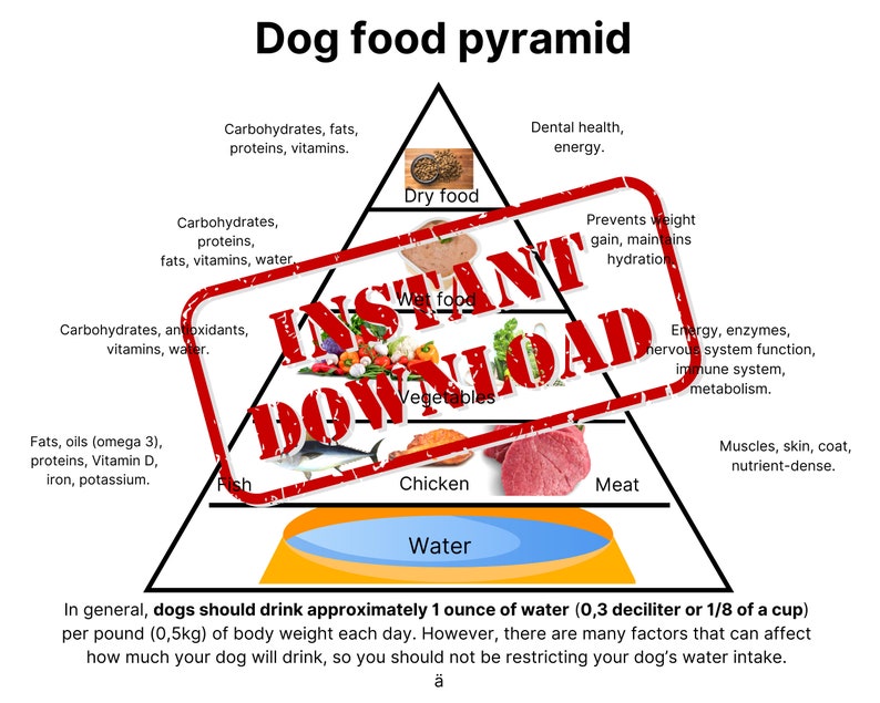 Dog Food Pyramid | Healthy Pet Diet Recommendations | Instant Download ...