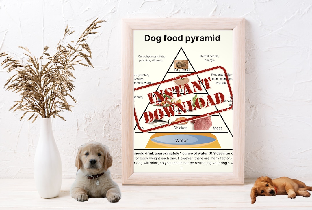 Dog Food Pyramid Healthy Pet Diet Support Dogs Healing - Etsy