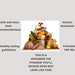 Cat Food Pyramid | Pet Feeding Guidelines | Healthy Eating ...