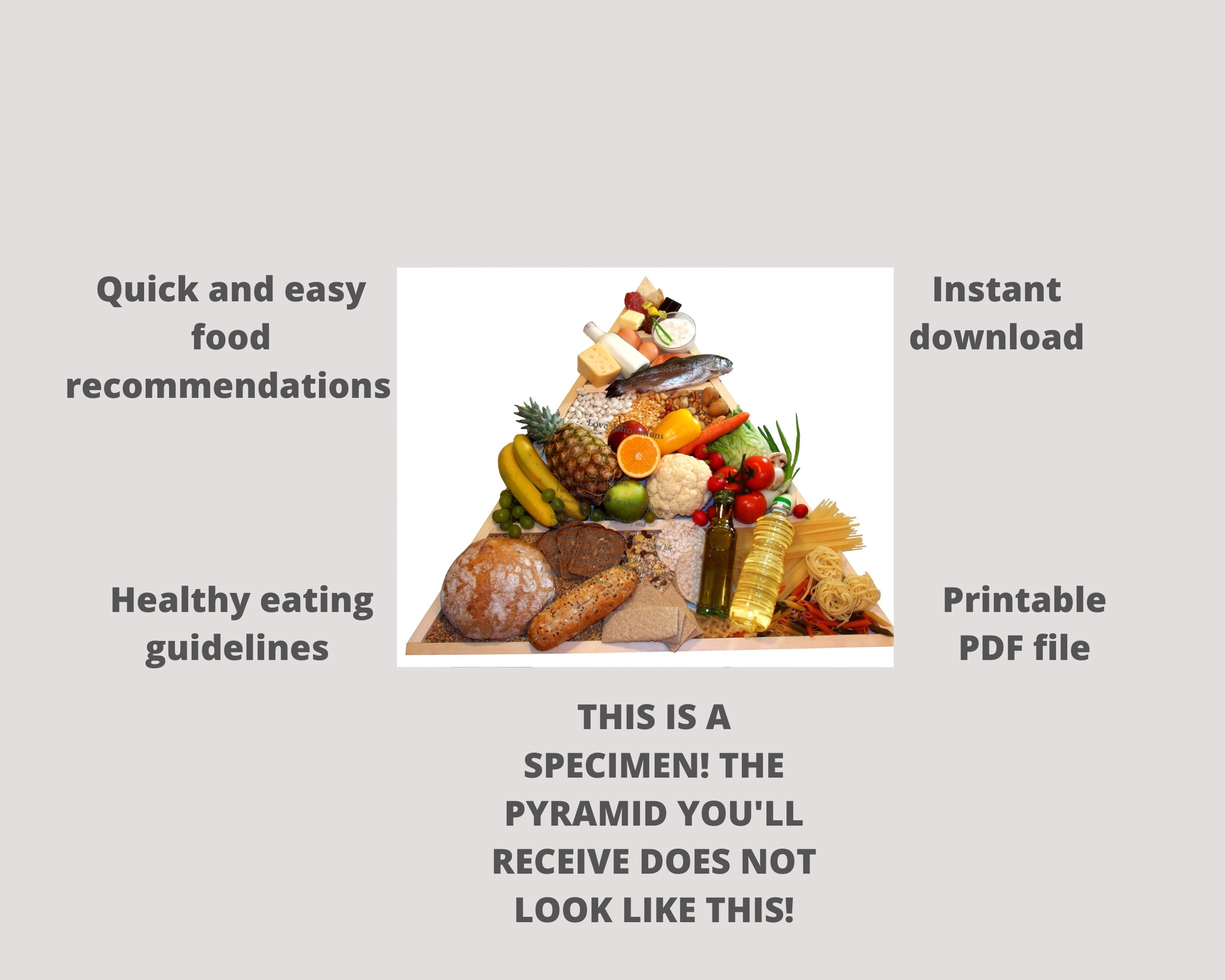 Cat Food Pyramid | Pet Feeding Guidelines | Healthy Eating ...