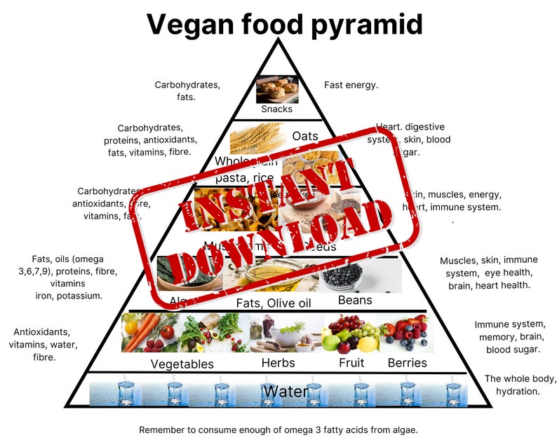 Vegan Food Pyramid Poster | Plant-based Diet | Printable PDF File - Etsy
