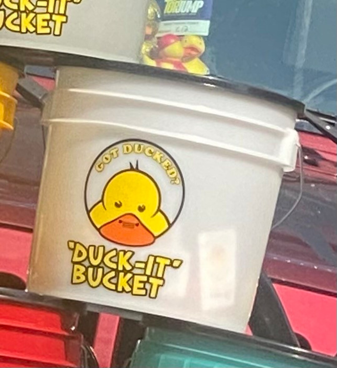 The White duck-it Bucket-30 Pre-tagged Ducks - Etsy
