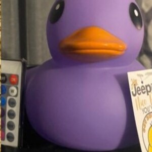 LED Light up Giant Rubber Duck-solid Series-7 Inch-batteries Included ...