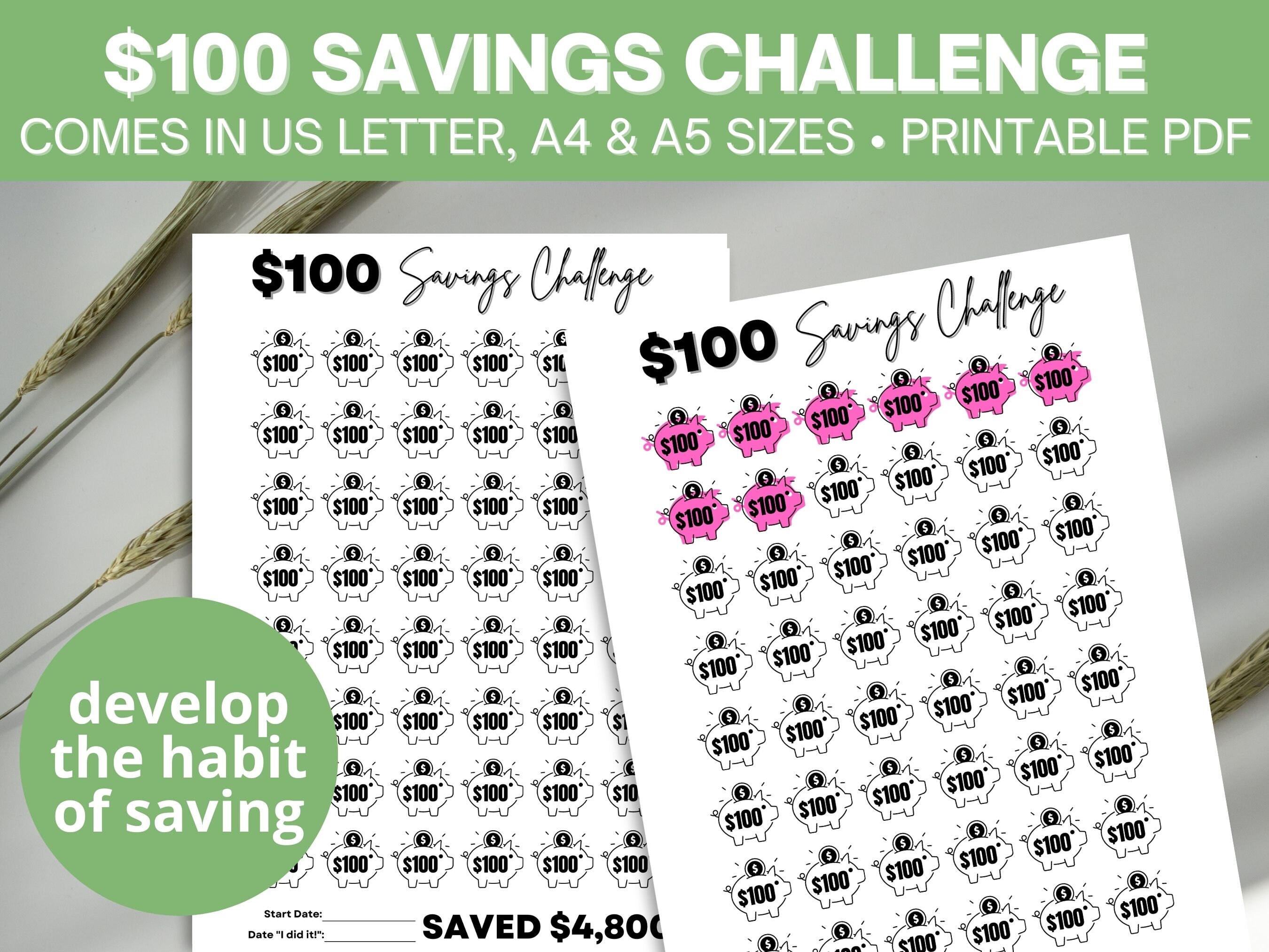 100-dollar Savings Challenge Printable Money Savings Challenge ...