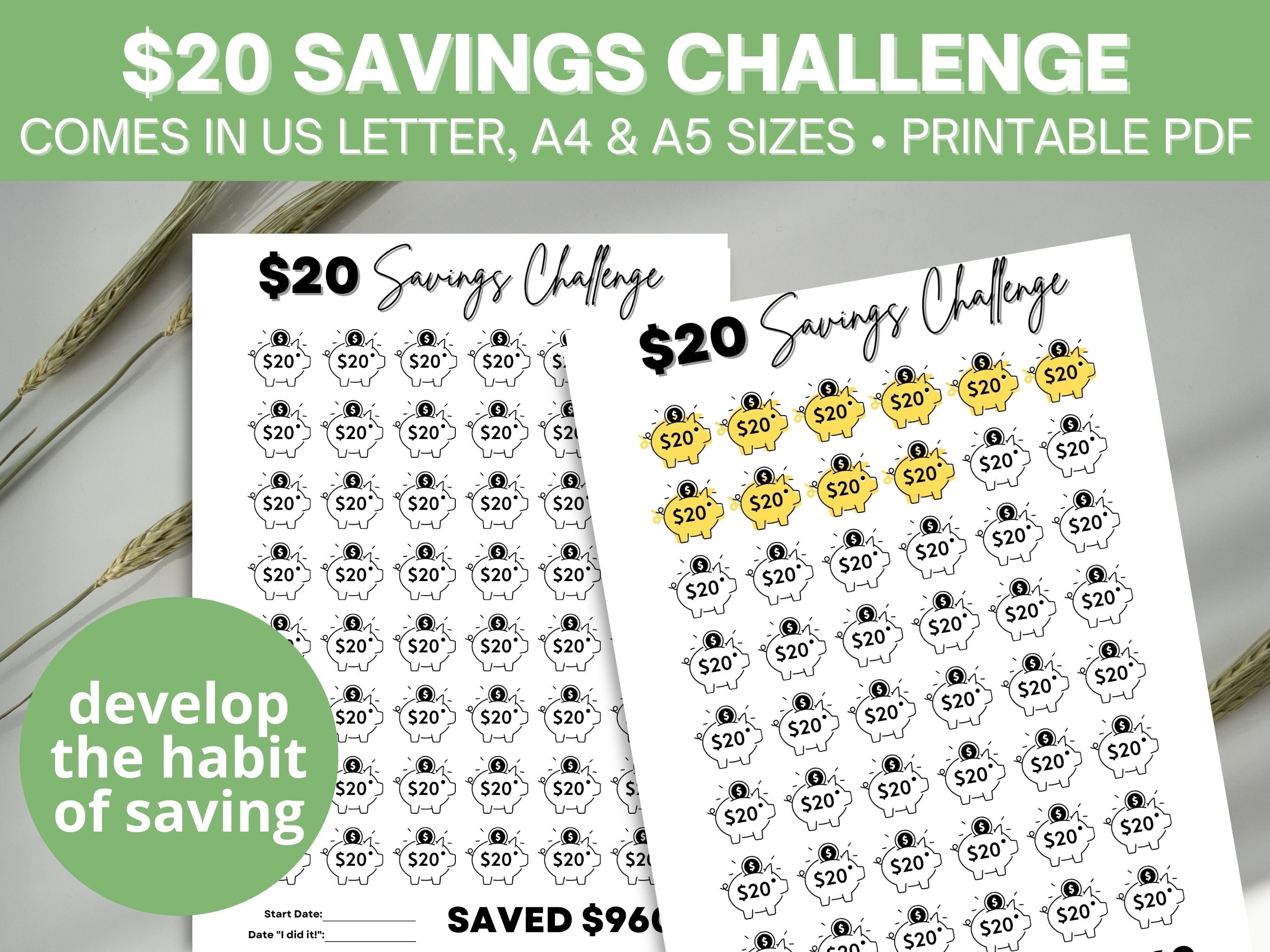 20-dollar Savings Challenge Printable Money Savings - Etsy
