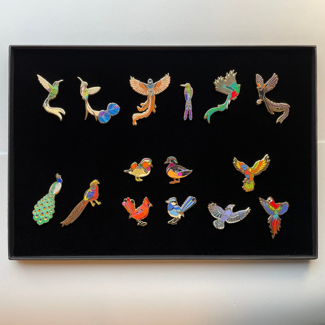 Tropical Birds Pin 2 Bird Themed Jewellery Gift Under 20 Mandarin Duck ...
