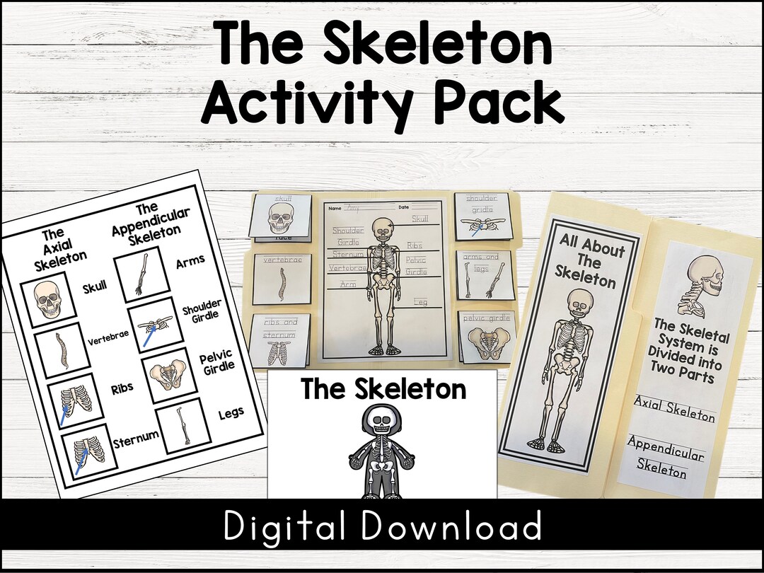 Skeletal System Activities / Simple Anatomy Activites / Human Body ...