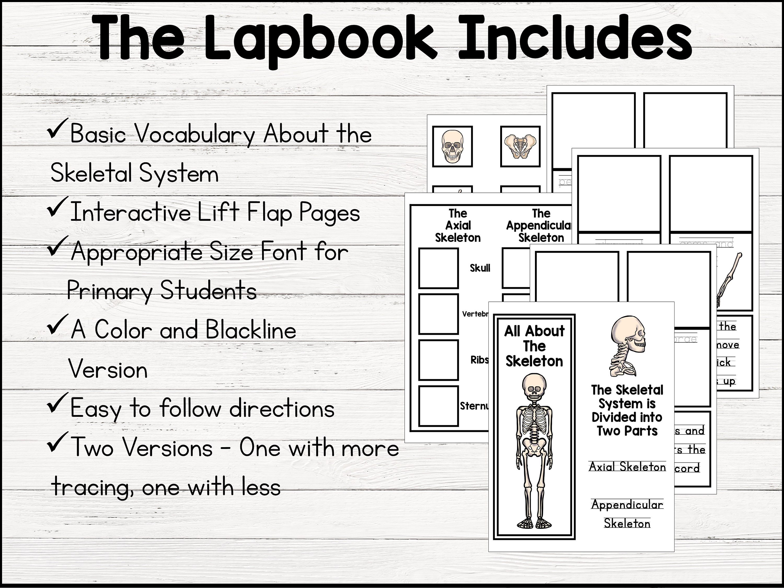 Skeletal System Activities / Simple Anatomy Activites / Human Body ...
