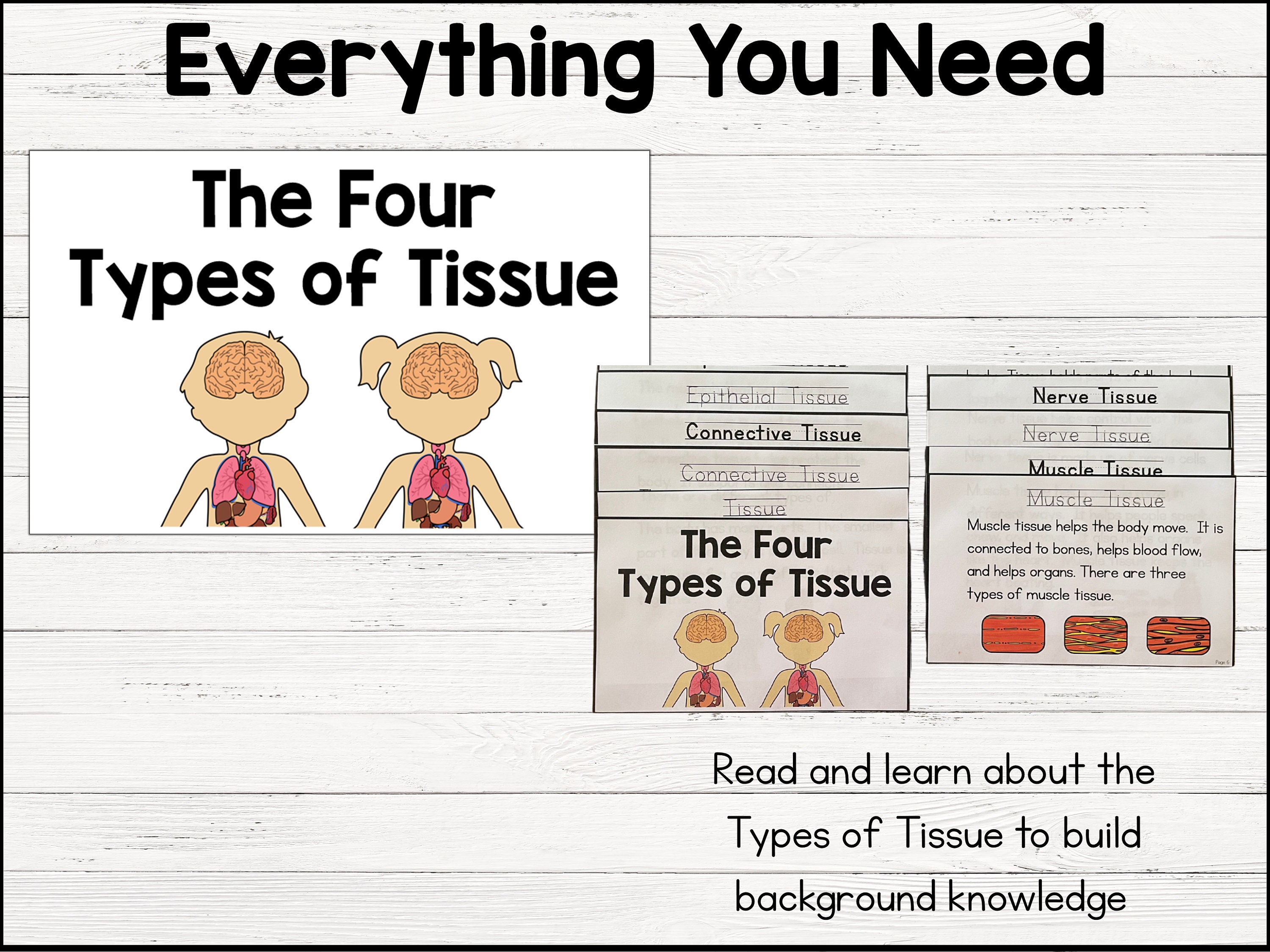 Tyes of Tissue Activities / Simple Anatomy Activities / Human - Etsy