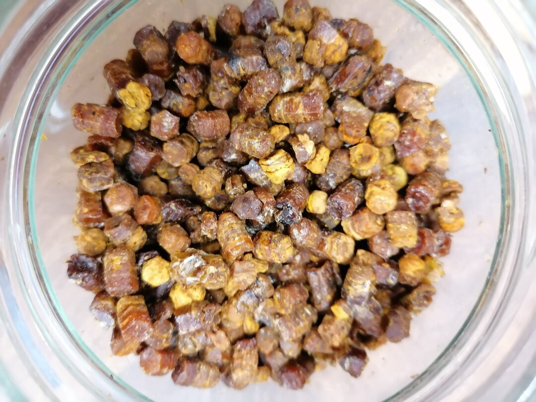 Bee Bread Ambrosia Perga - Etsy