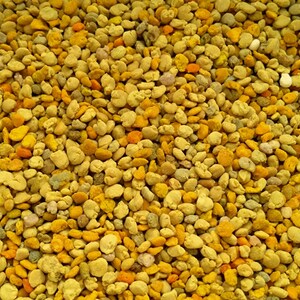 Fresh Bee Pollen Granules: Natural Superfood, Organic Farm - Etsy