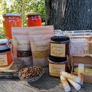 Bee Bread, Ambrosia, Perga, Superfood 500g/17,6 Oz - Etsy